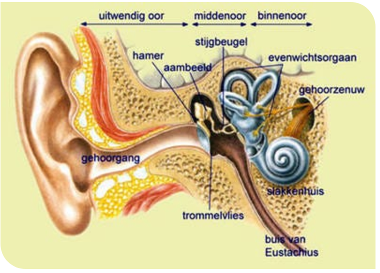 BPPD patiëntinformatie en oefeningen | Amsterdam UMC