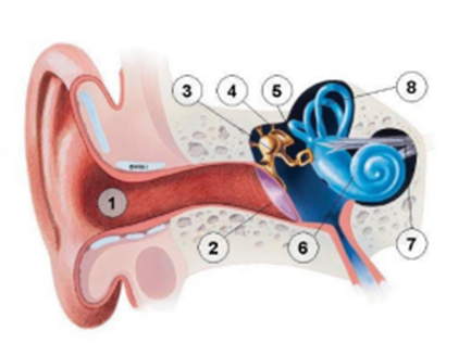 Middenoordrainage (MOD)