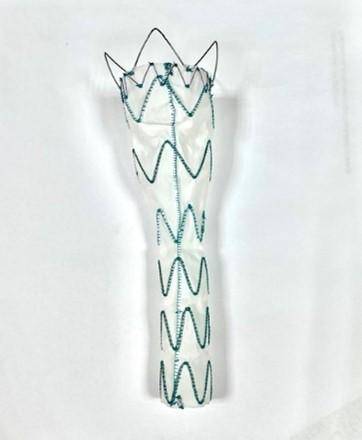 Aneurysma: EVAR, BEVAR en TEVAR (endovasculaire behandeling)