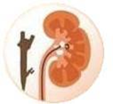 Endoscopic combined intrarenal surgery (ECIRS)