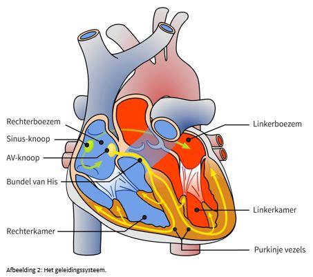 Ablatie - patiëntinformatie